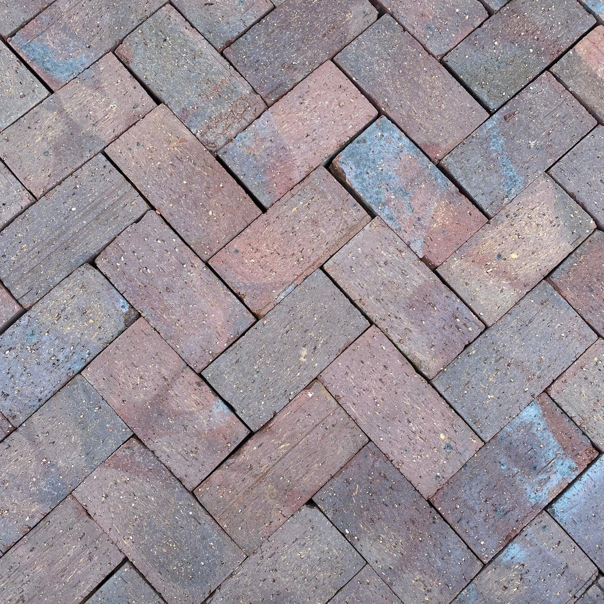 Staffordshire Brindle Blue Paving Brick | Blue Paving Bricks – Heritage ...