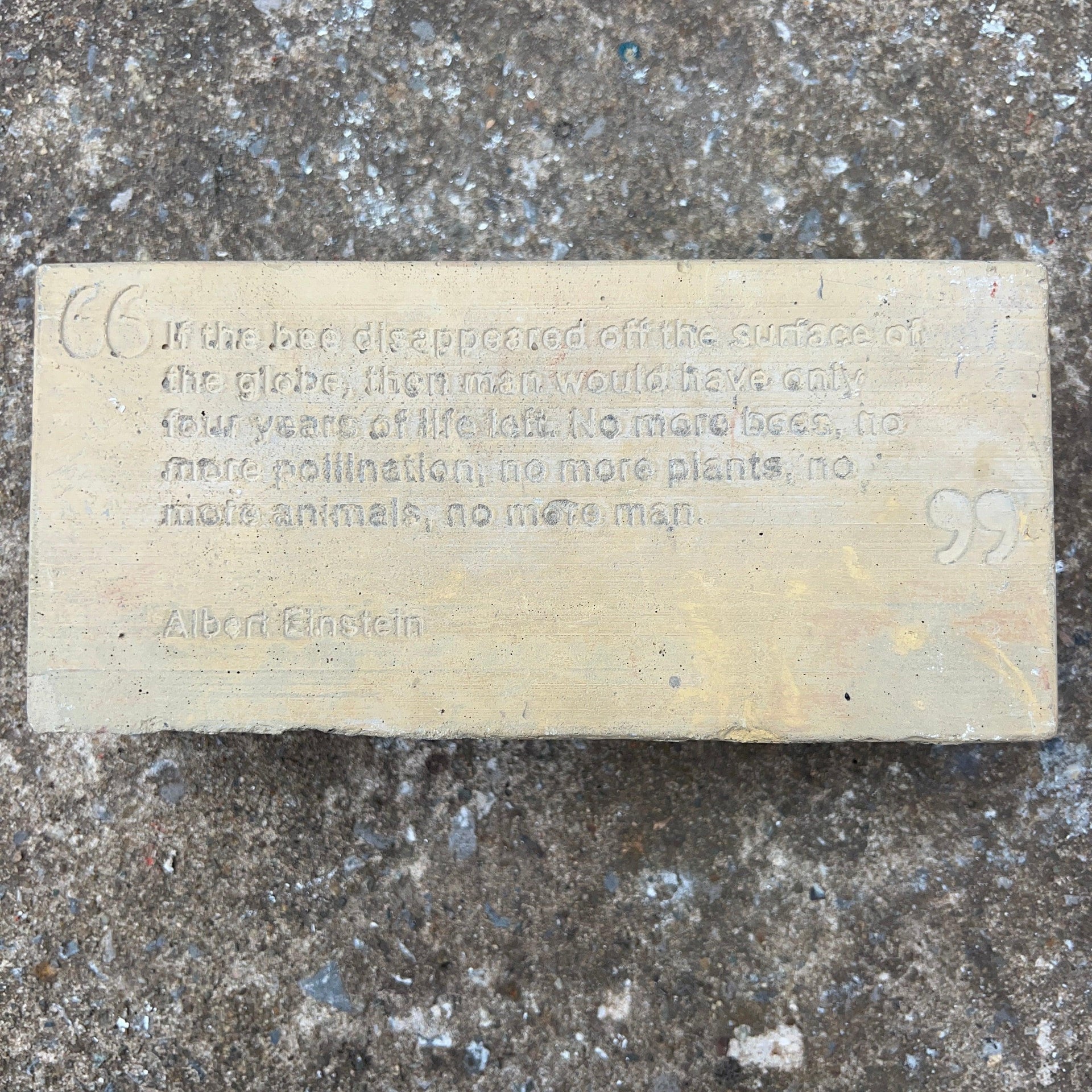 Wildlife Habitat Bricks | Swift, Bat & Bee Bricks | Heritage Brick ...